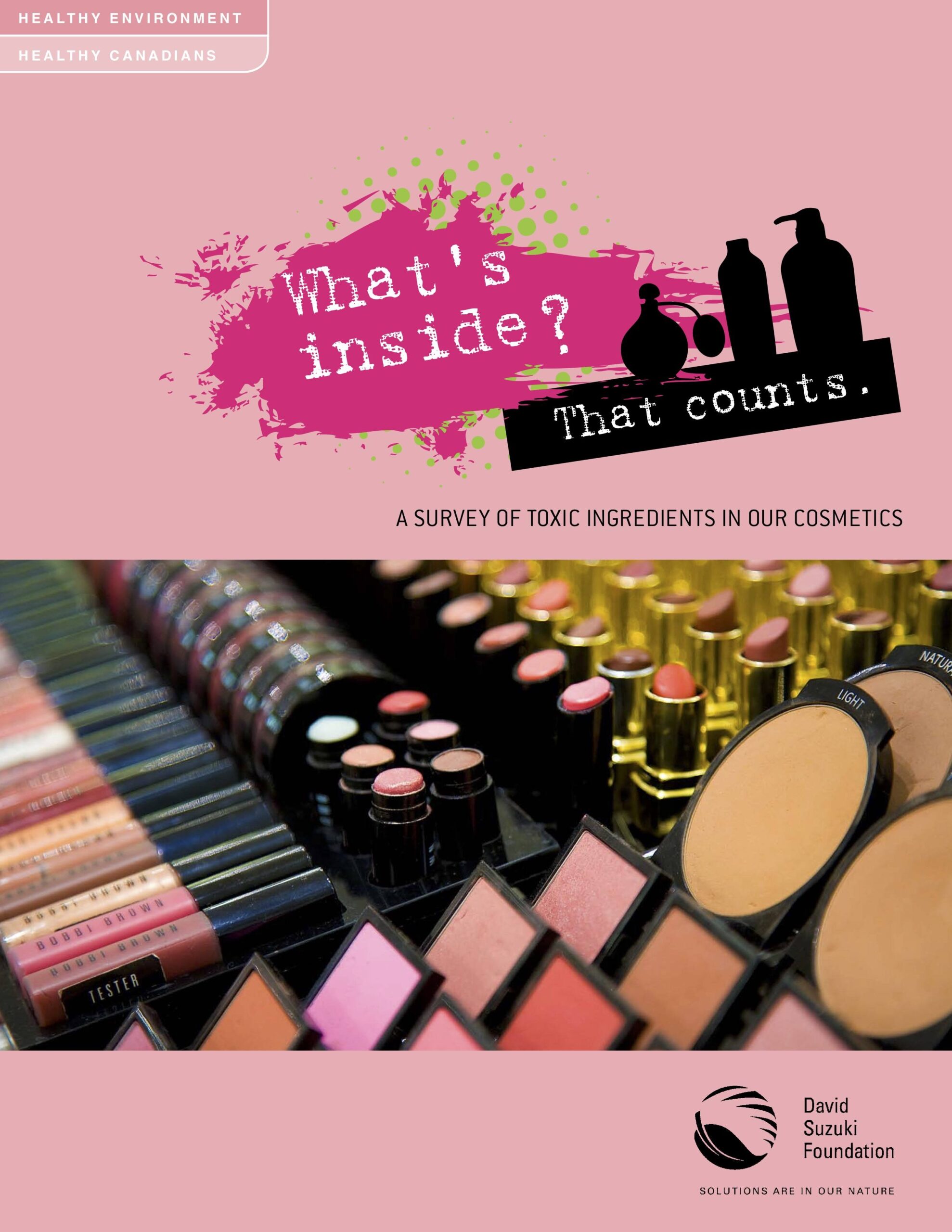 What's Inside? That Counts: A Survey of Toxic Ingredients in our ...