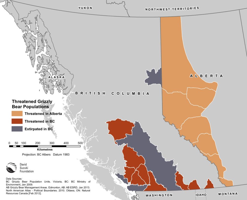 MAP — Threatened grizzly bear populations - David Suzuki Foundation