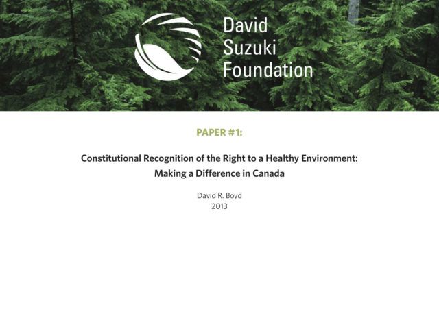 The Importance of Constitutional Recognition of the Right to a Healthy ...