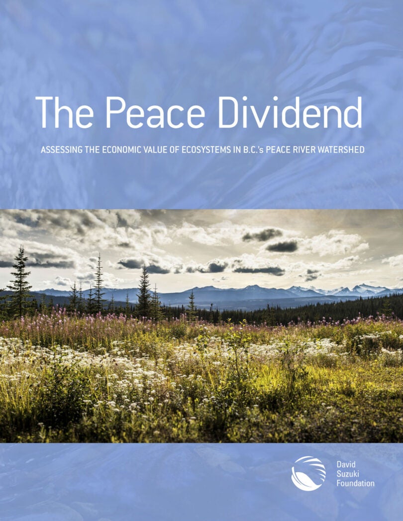 The Peace Dividend: Assessing the Economic Value of Ecosystems in B.C ...