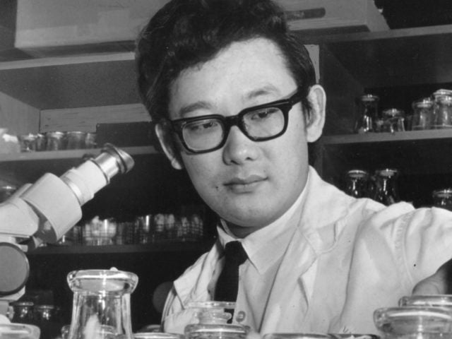 Experts - David Suzuki Foundation