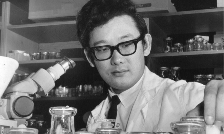 Reflections on a lifetime of scientific discovery - David Suzuki Foundation