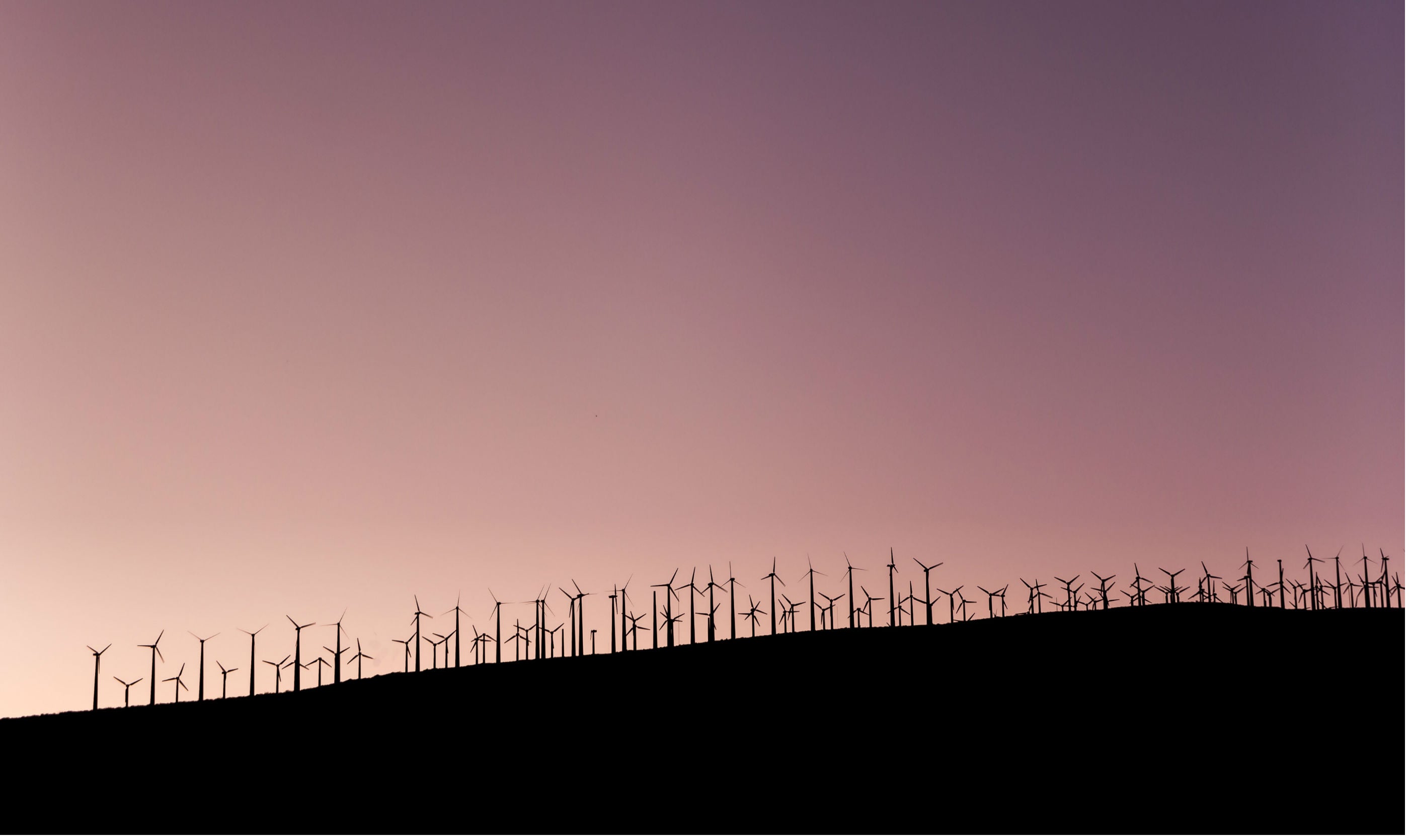 Go carbon neutral - David Suzuki Foundation