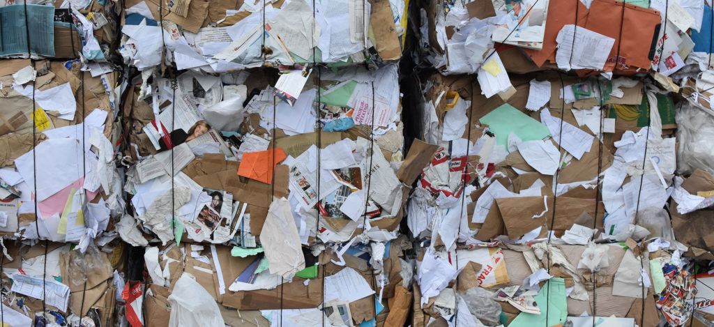 Cascades: Canada's first recycled paper products company - David Suzuki ...