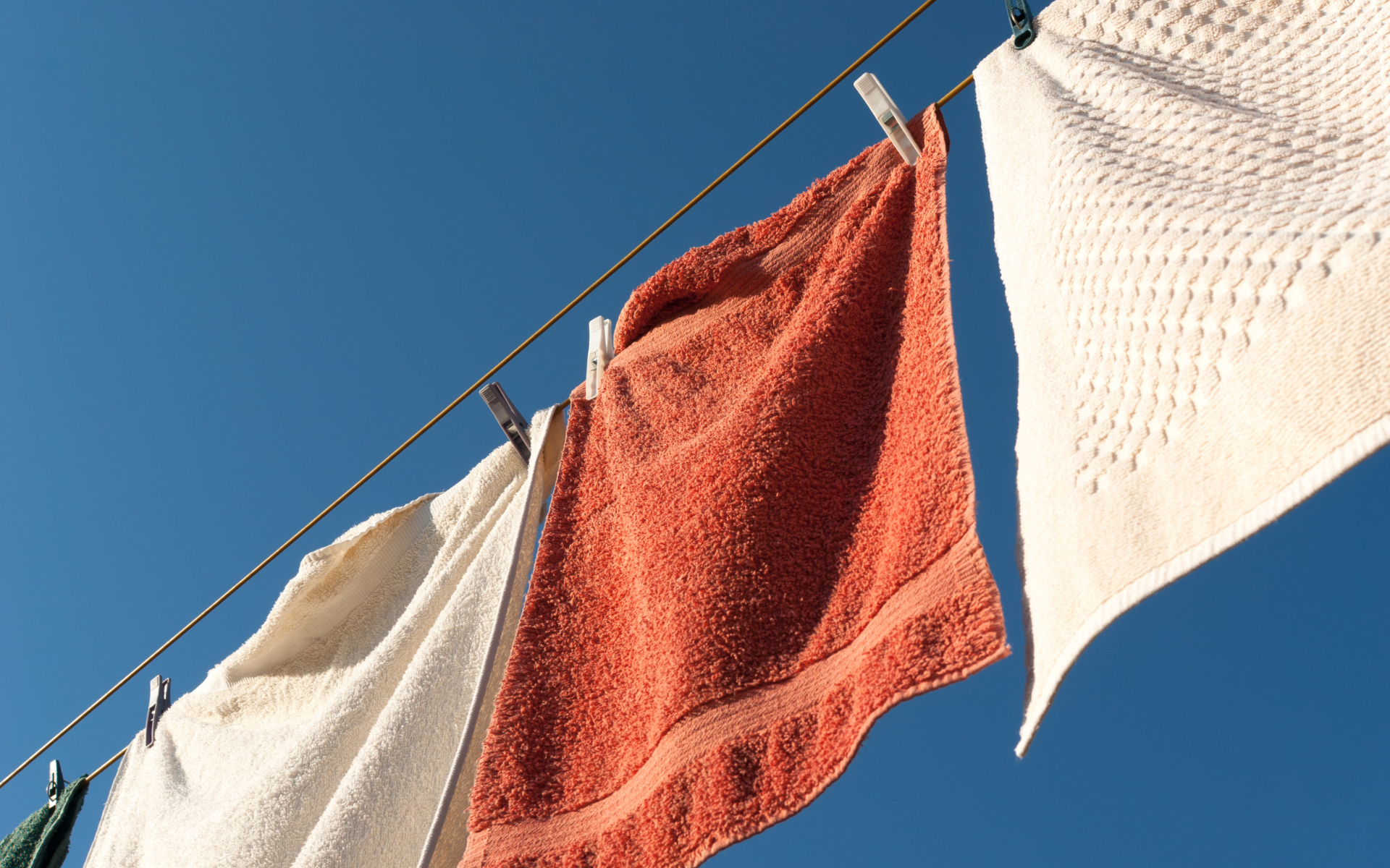 How to deodorize your stuff and make air freshener - David Suzuki ...