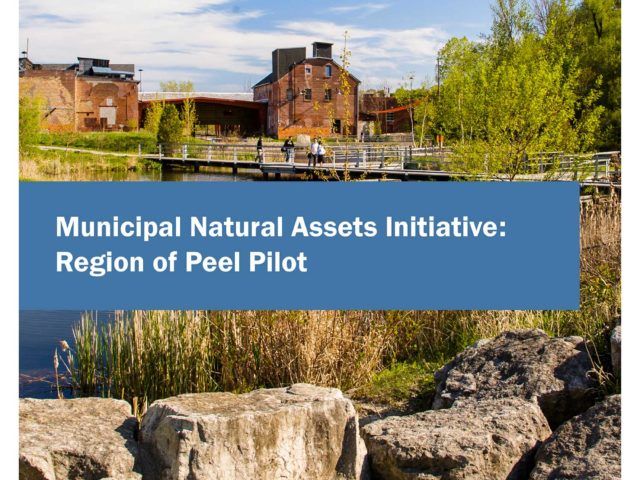 Municipal Natural Assets Initiative: Region of Peel Pilot - David ...