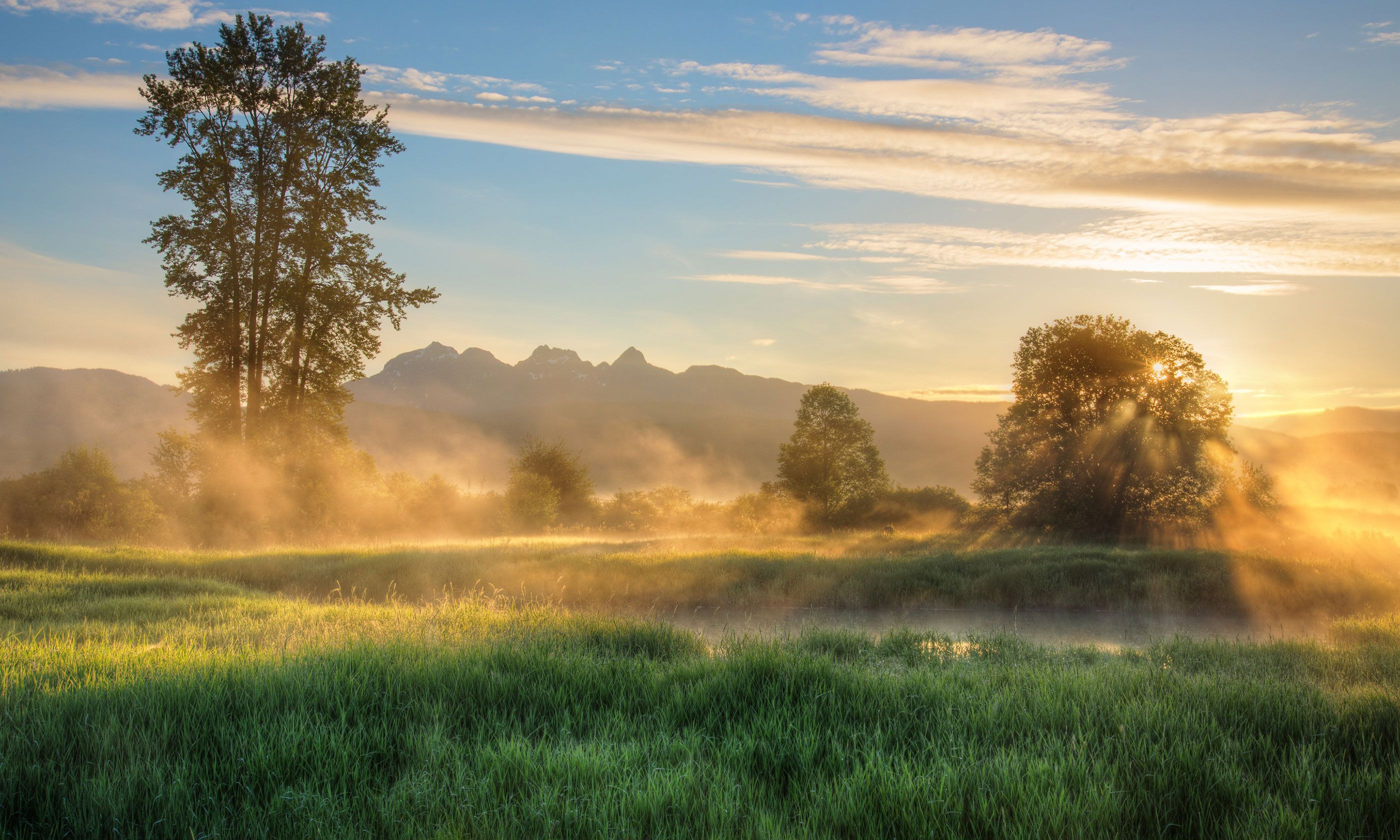 British Columbia takes a big step forward with new climate plan - David ...