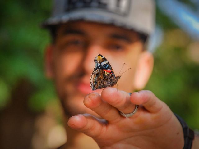 How to create a butterfly garden - David Suzuki Foundation