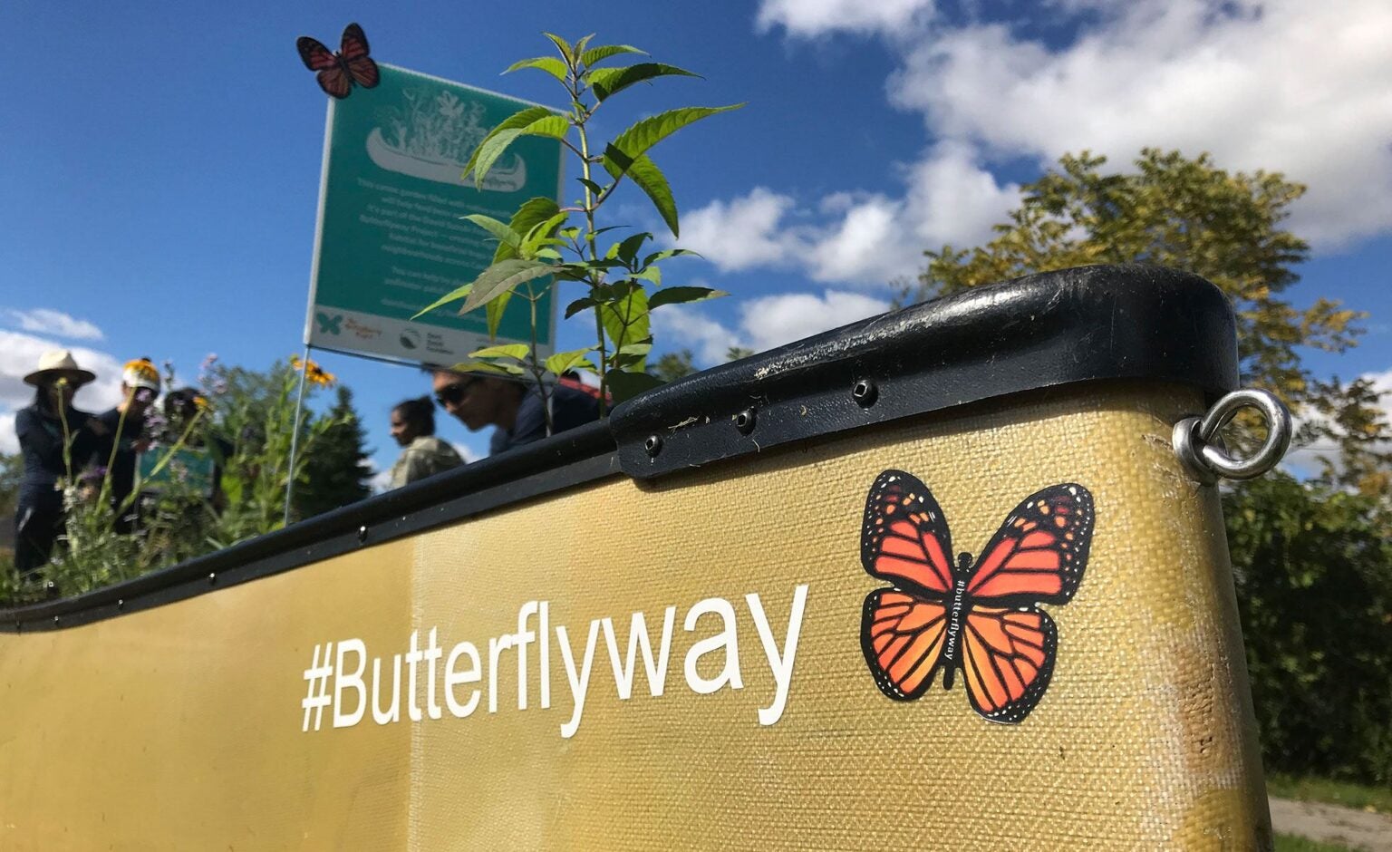 How to plant a canoe in your neighbourhood - David Suzuki Foundation