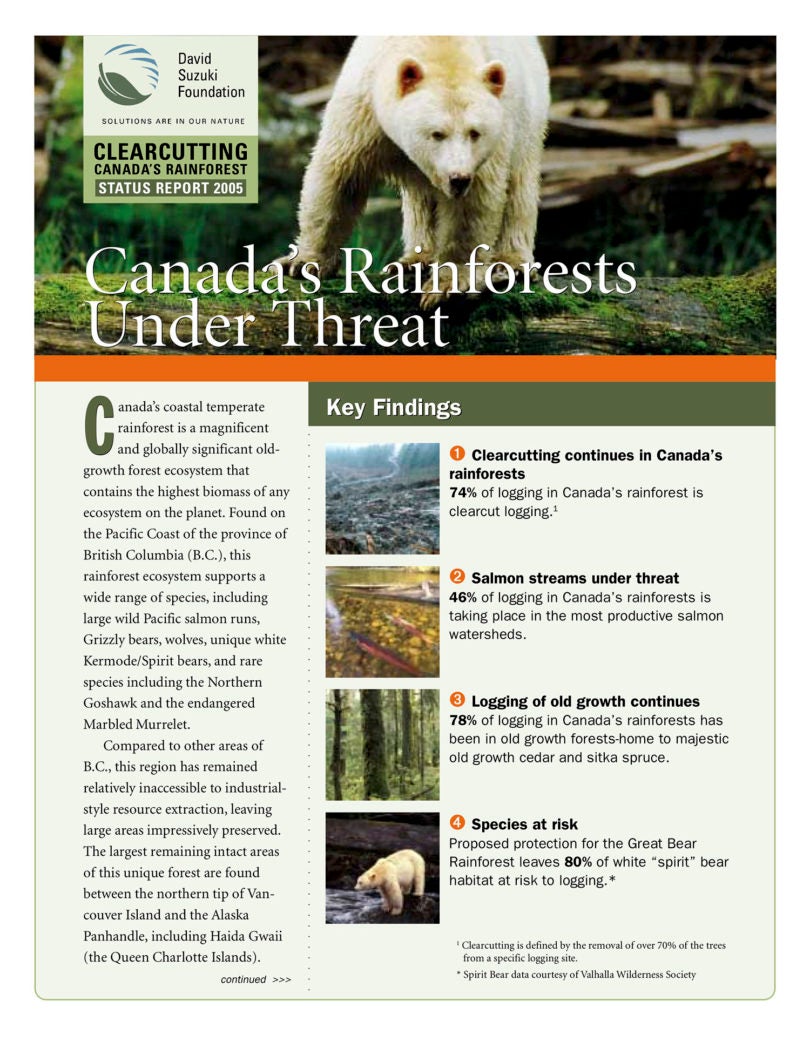 Canada's Rainforest — Status Report 2005 - David Suzuki Foundation