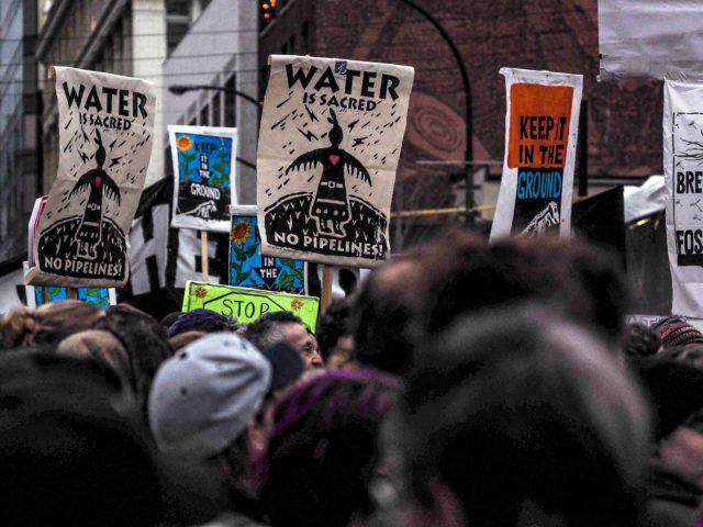 You voiced your opposition to the Trans Mountain pipeline - David ...