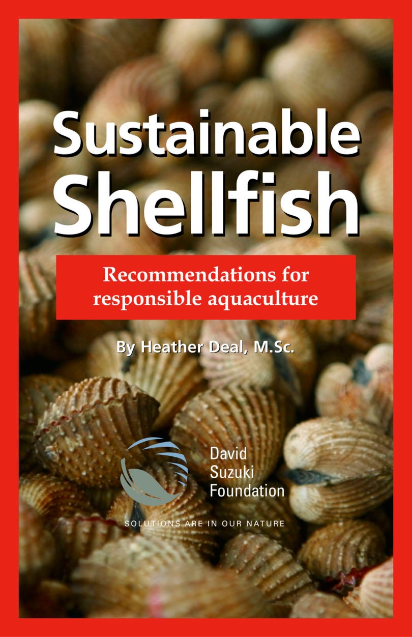 Sustainable Shellfish: Recommendations for Responsible Aquaculture ...