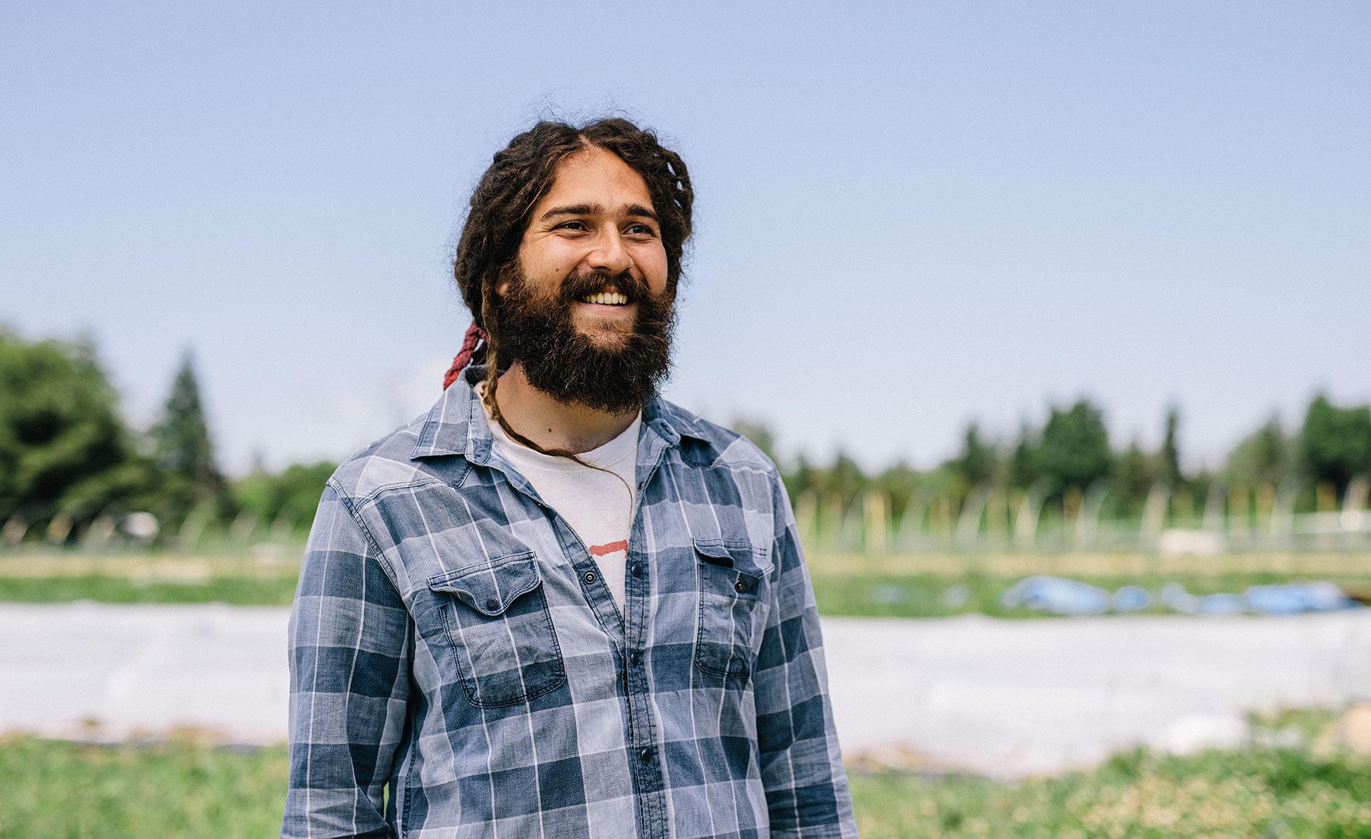 Renewable energy powers food production at Just Food Farm - David ...