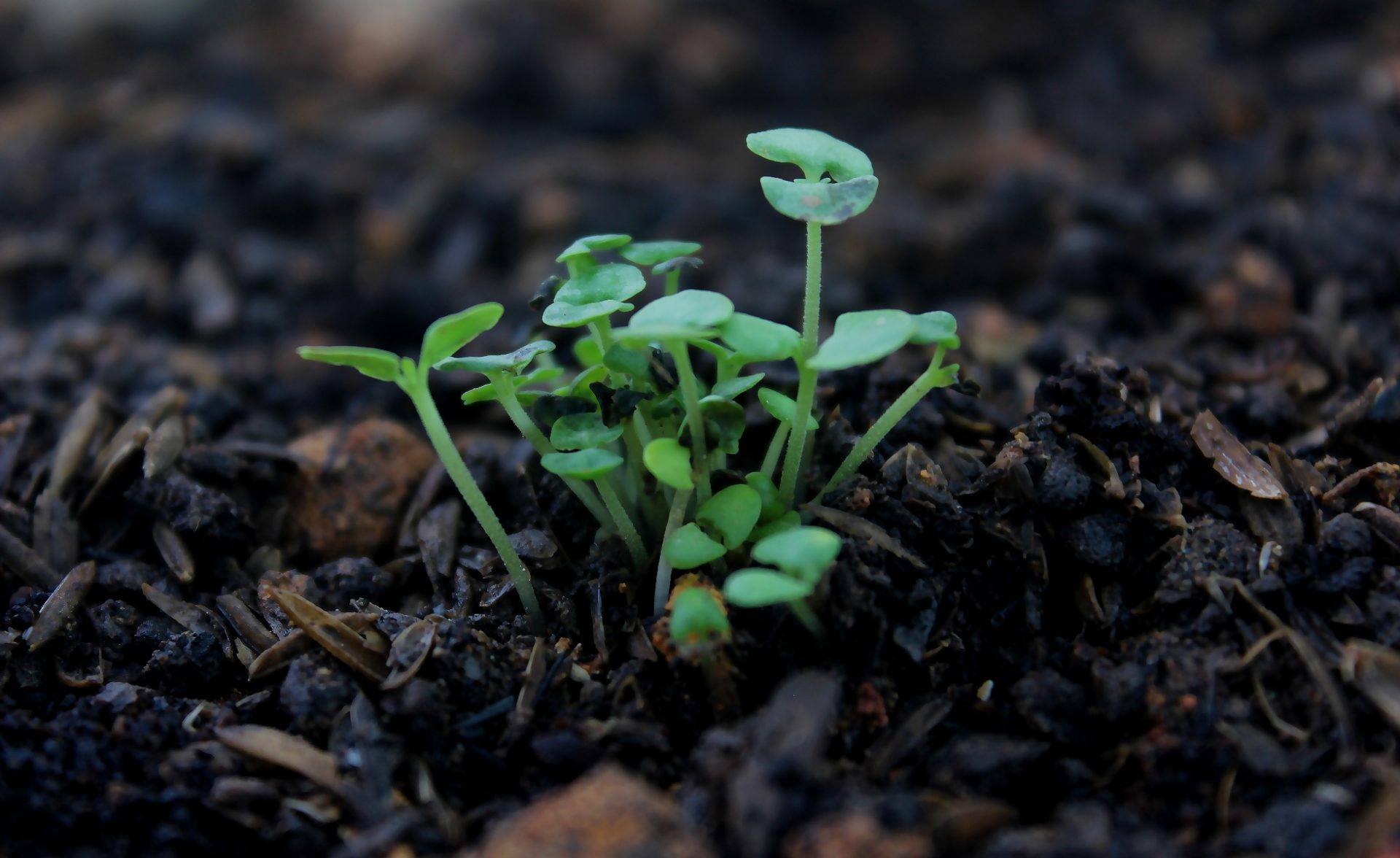 The COVID-19 pandemic may be an opportunity to transform the way we ...