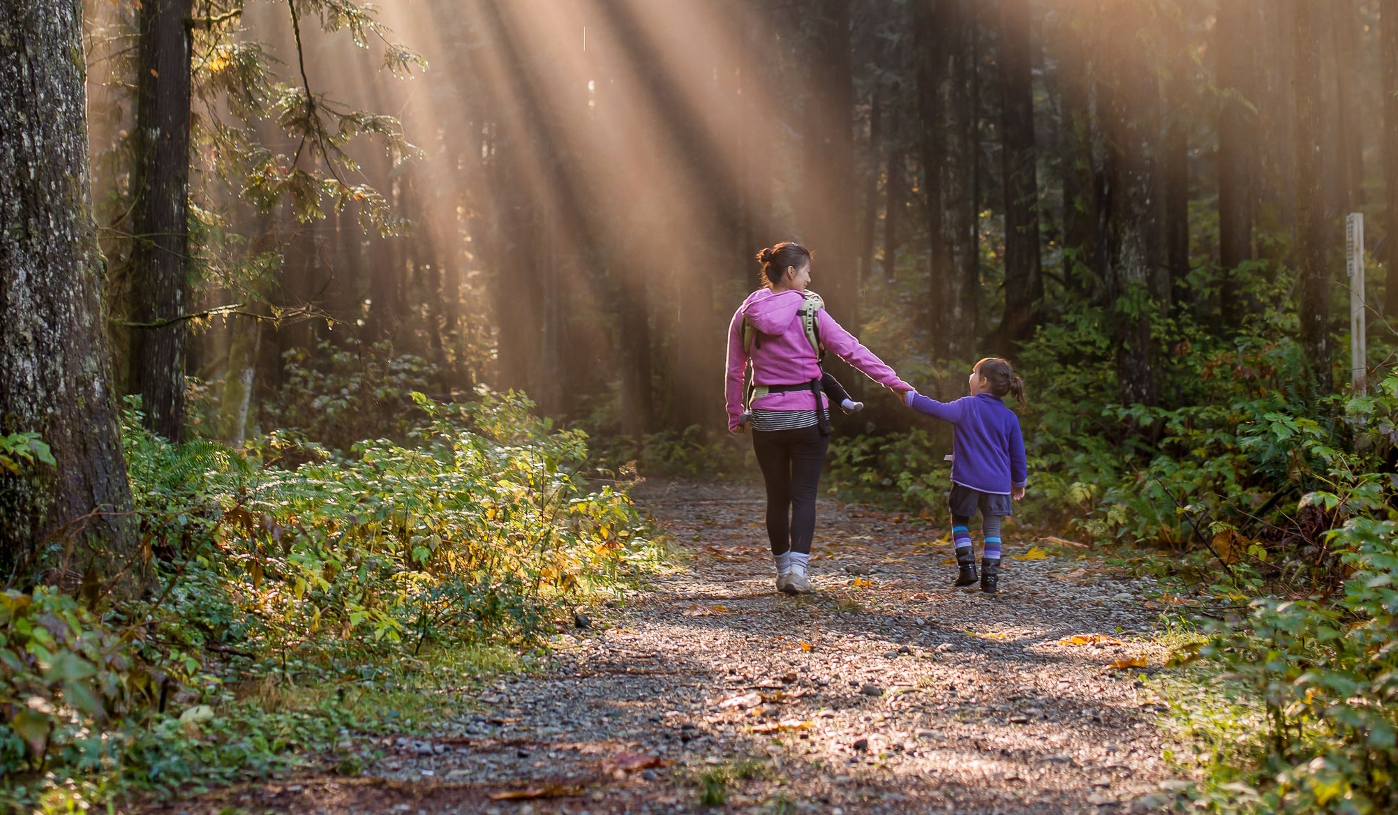 You urged Ottawa to support a just and green recovery