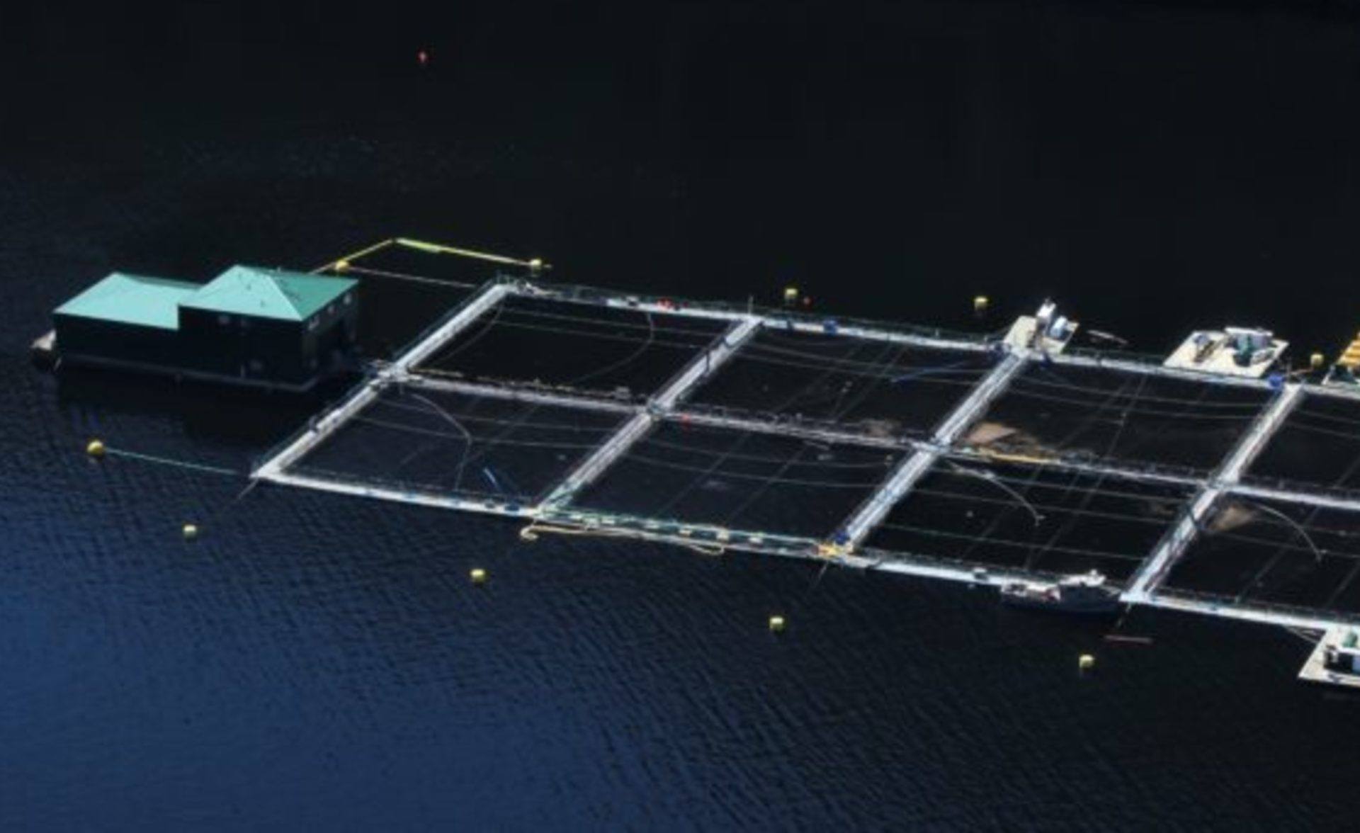 To save wild salmon, Discovery Islands fish farms must go - David ...