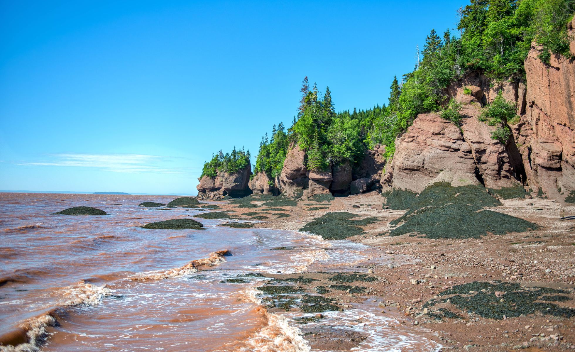 Atlantic Loop’s green-recovery potential lies with collaboration ...