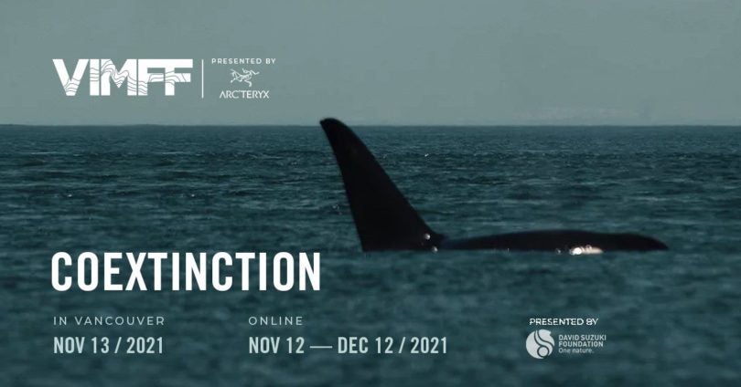 Take a journey into the world of endangered orcas with Coextinction ...