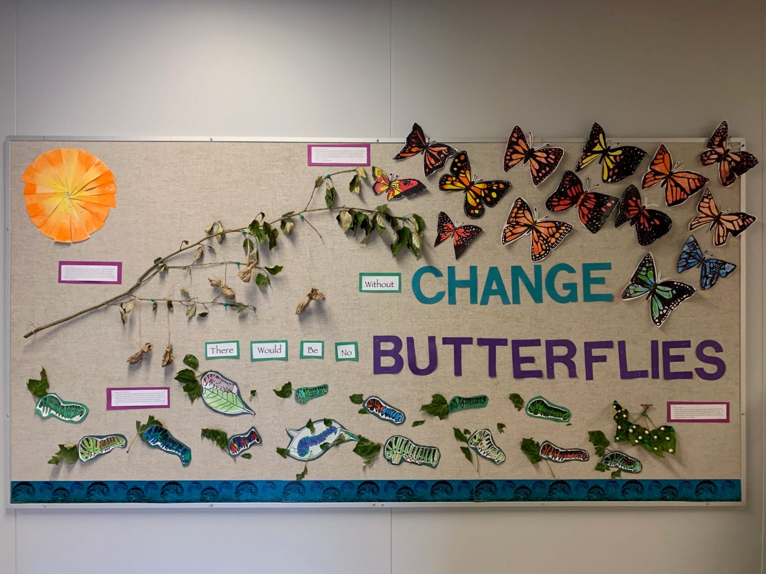 Citizen scientists help track endangered butterfly species in B.C ...