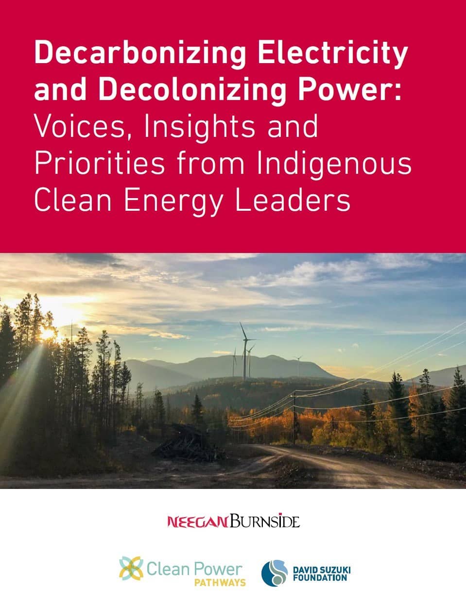 Decarbonizing Electricity and Decolonizing Power: Voices, Insights and ...