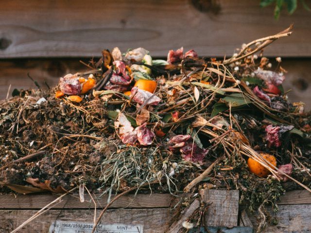 Composting do’s and don’ts - David Suzuki Foundation