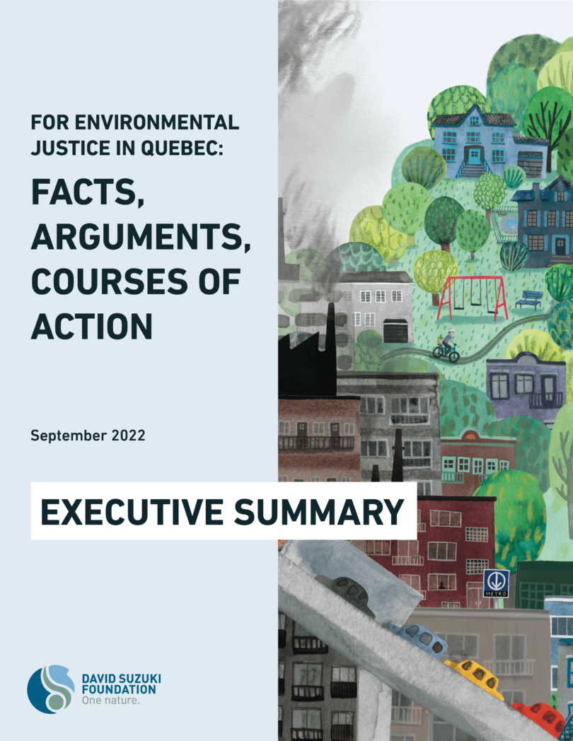 EXECUTIVE SUMMARY — For Environmental Justice in Quebec: Facts ...