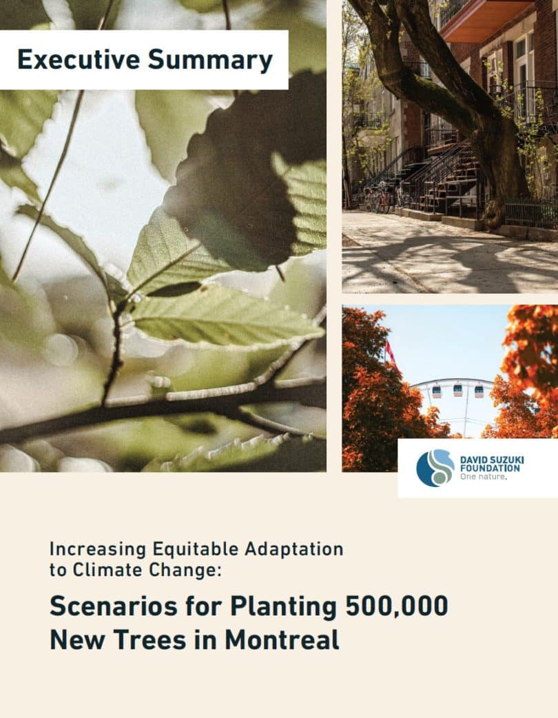 Increasing Equitable Adaptation to Climate Change: Scenarios for ...