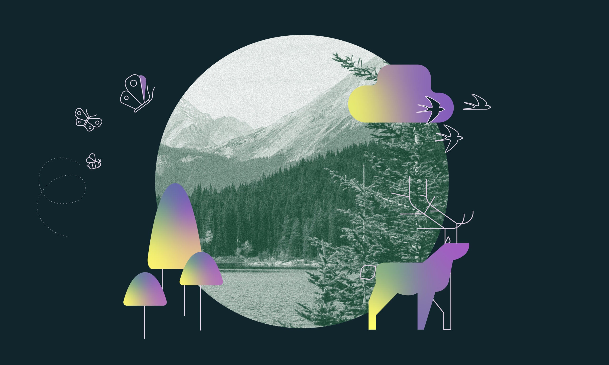 NatureCOP (COP15) - David Suzuki Foundation