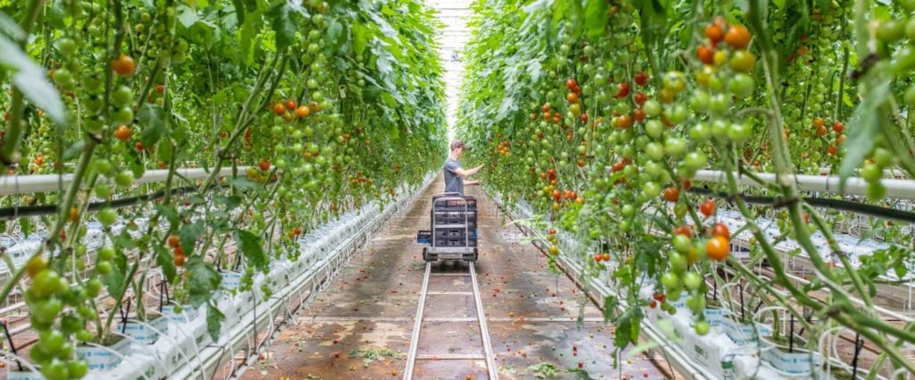 Thank you to our partners at Lufa Farms! - David Suzuki Foundation