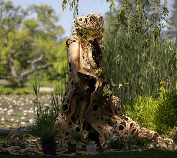 The Rewilding Arts Prize - David Suzuki Foundation