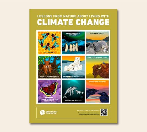 Lessons from nature about living with climate change