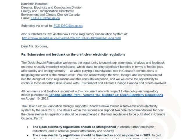 DSF Submission on Federal Draft Clean Electricity Regulations - David ...