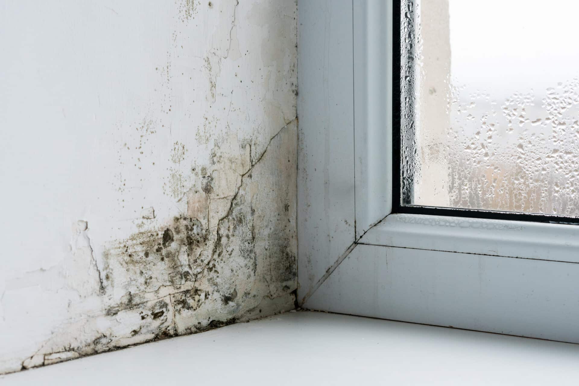 Eight common household pollutants and contaminants - David Suzuki ...