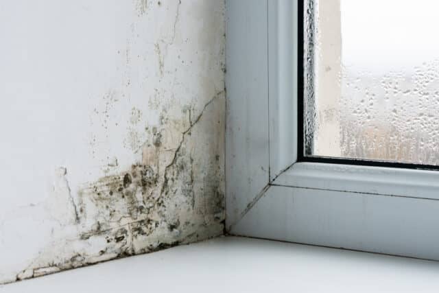 Eight common household pollutants and contaminants - David Suzuki ...