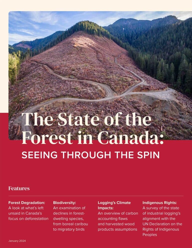 State of the Forest Report: Seeing Through the Spin - David Suzuki ...