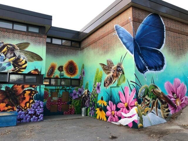 The Butterflyway Story - David Suzuki Foundation