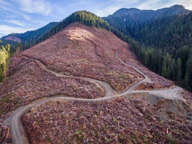 Forest Degradation Increases Community Vulnerability to Extreme Floods ...