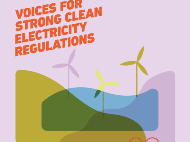 Voices For Strong Clean Electricity Regulations - David Suzuki Foundation