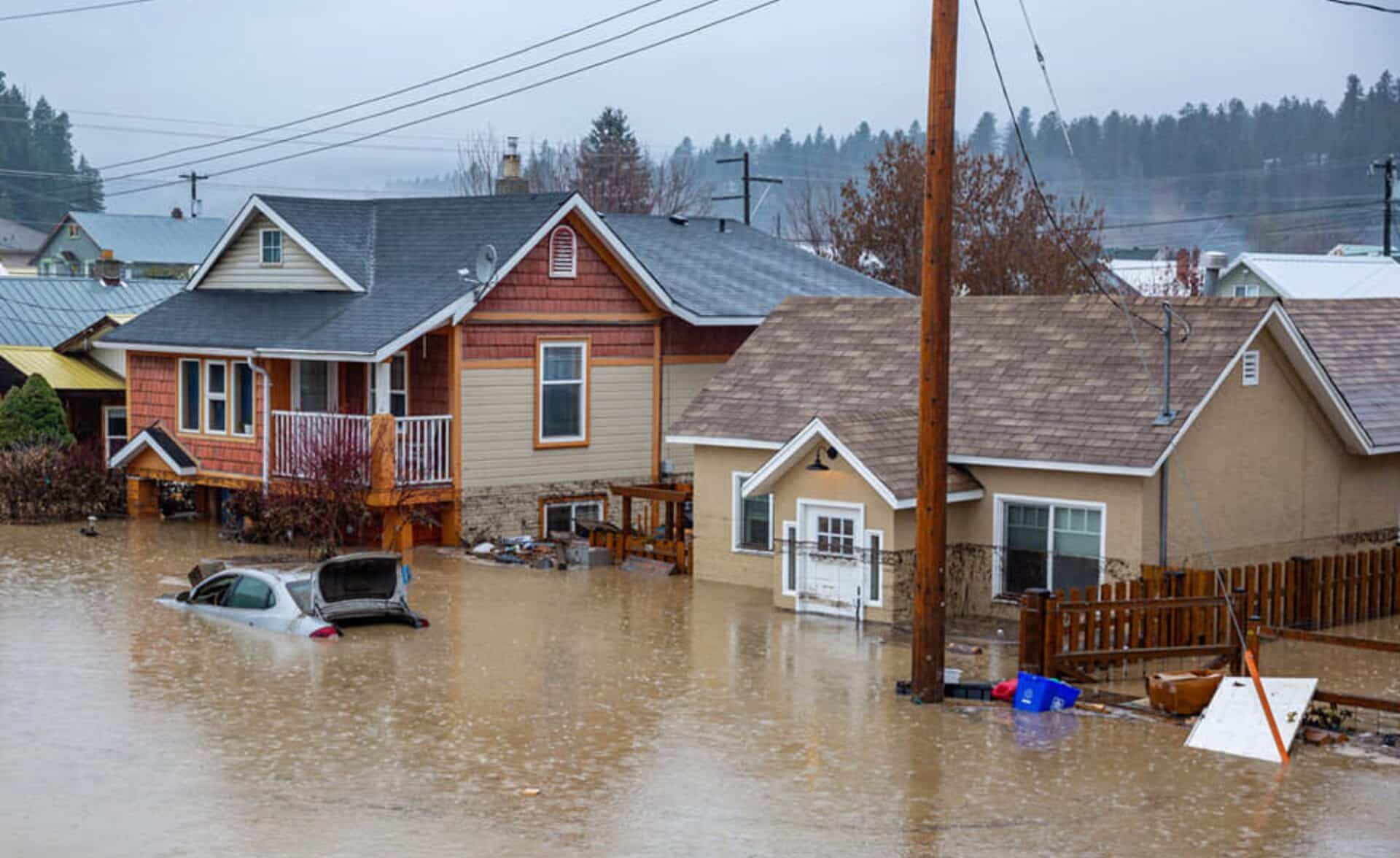 Ignoring climate change is just too expensive - David Suzuki Foundation