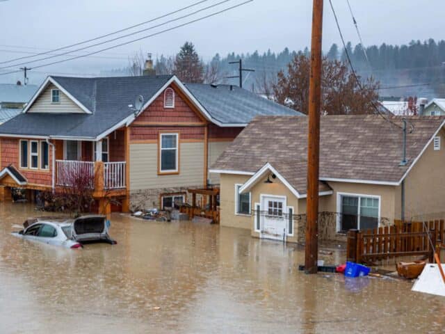 Ignoring climate change is just too expensive - David Suzuki Foundation