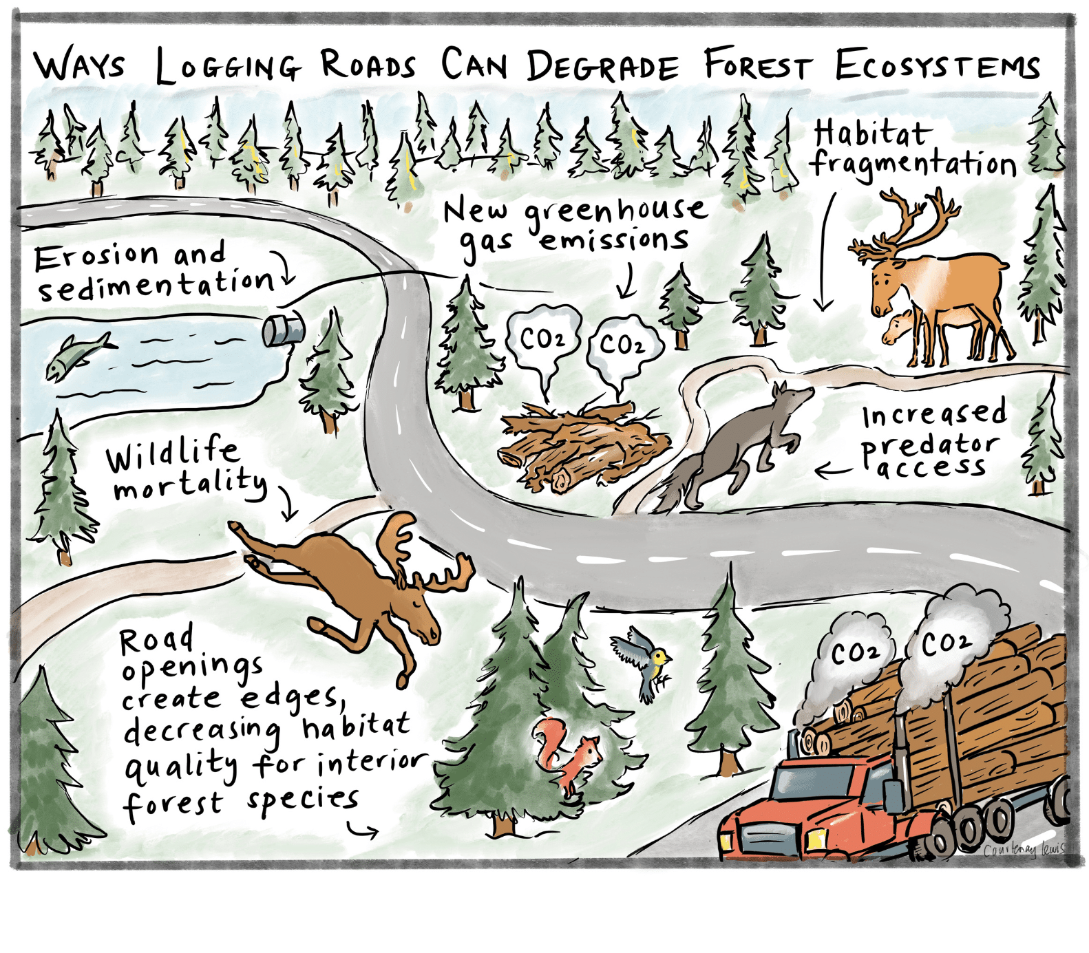 On the wrong track: Logging roads in Canada degrade forest ecosystems ...
