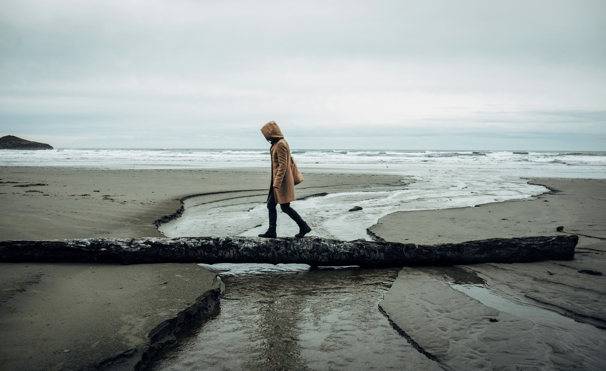 Ignorance of nature will push us over the edge - David Suzuki Foundation