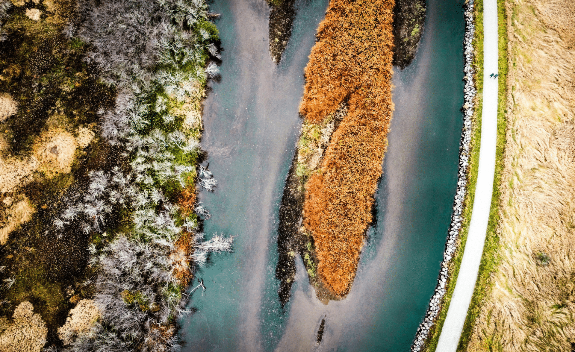 Climate and biodiversity solutions offer endless positive possibilities ...