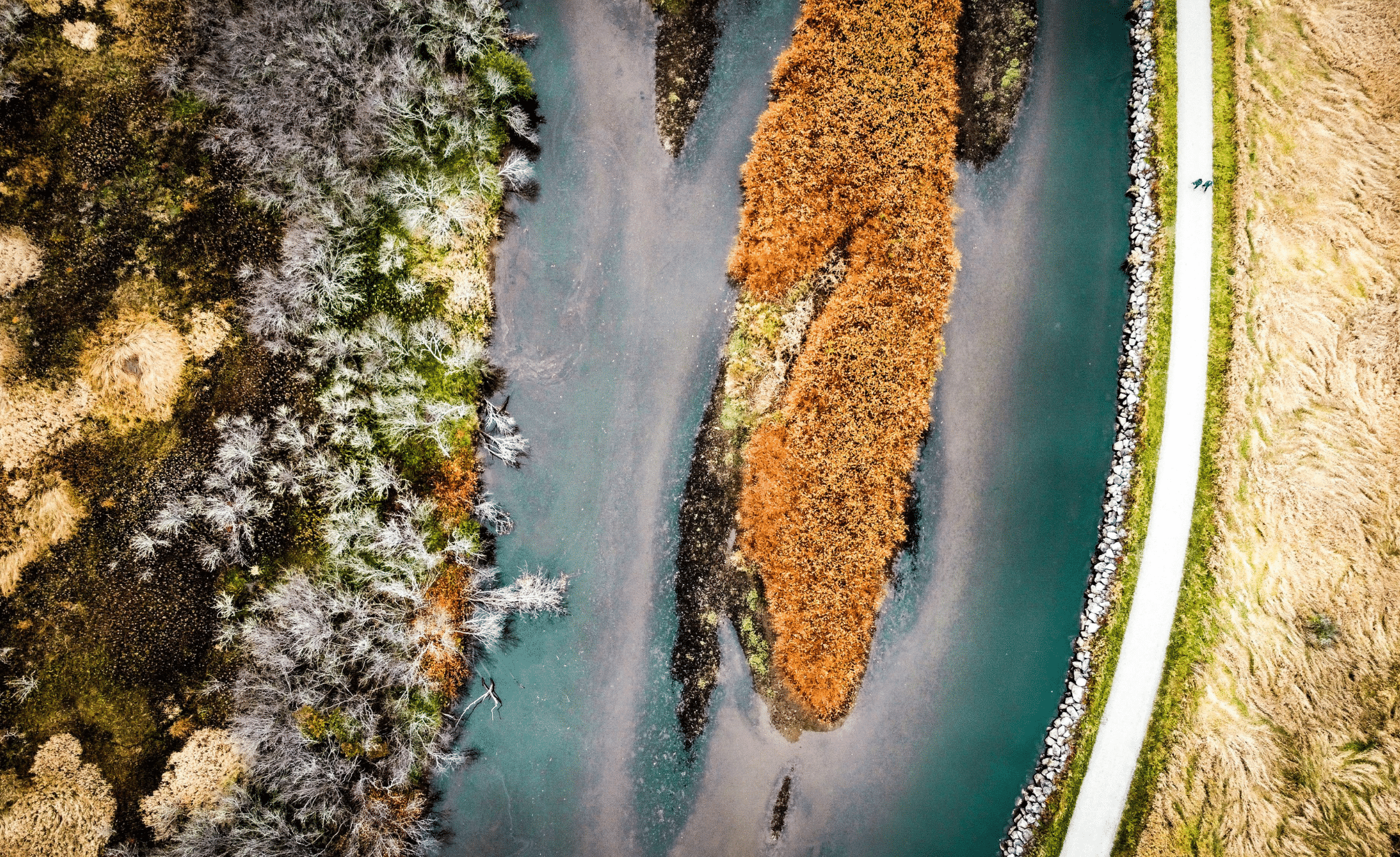 Climate and biodiversity solutions offer endless positive possibilities ...