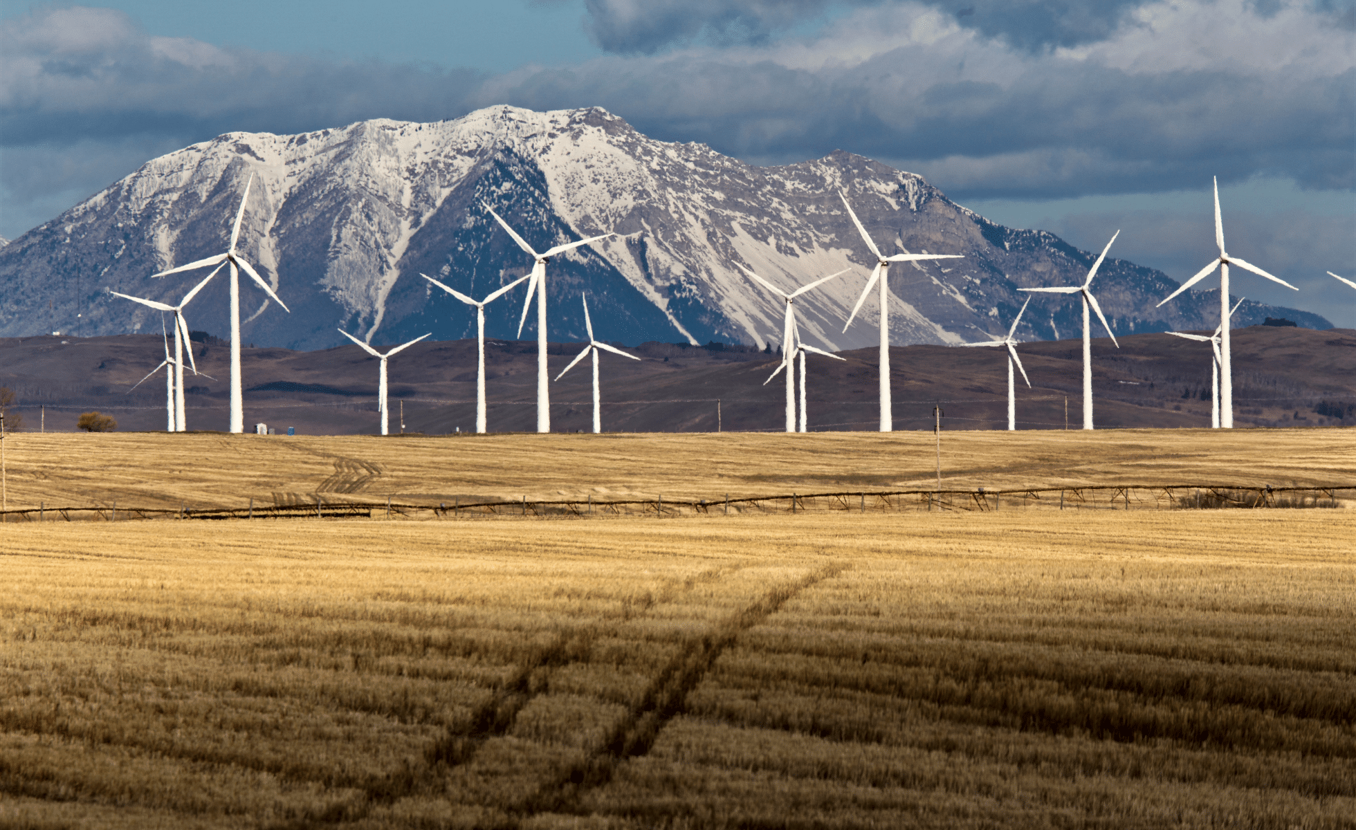 Canada is not an economic basket case - David Suzuki Foundation