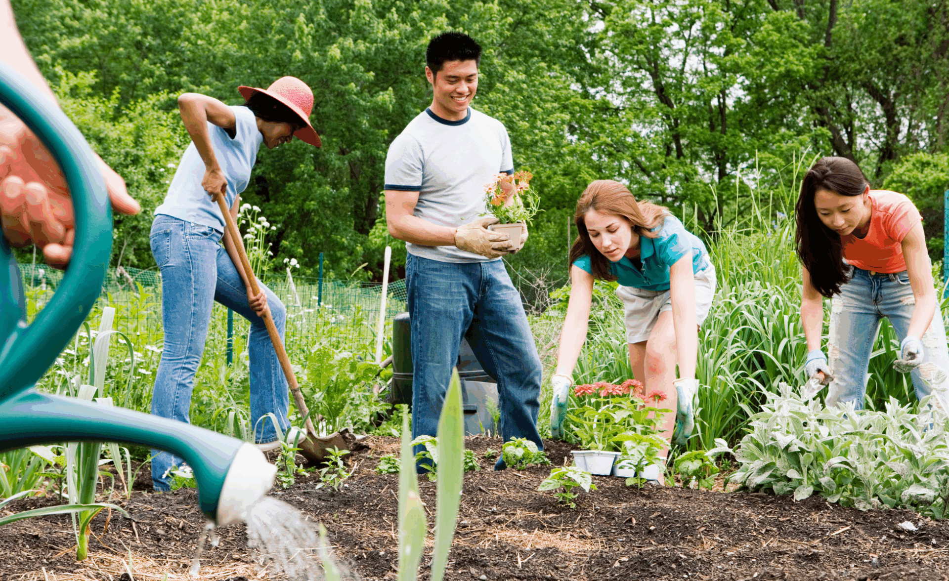 Get outside, meet people, have fun and save the world! - David Suzuki ...