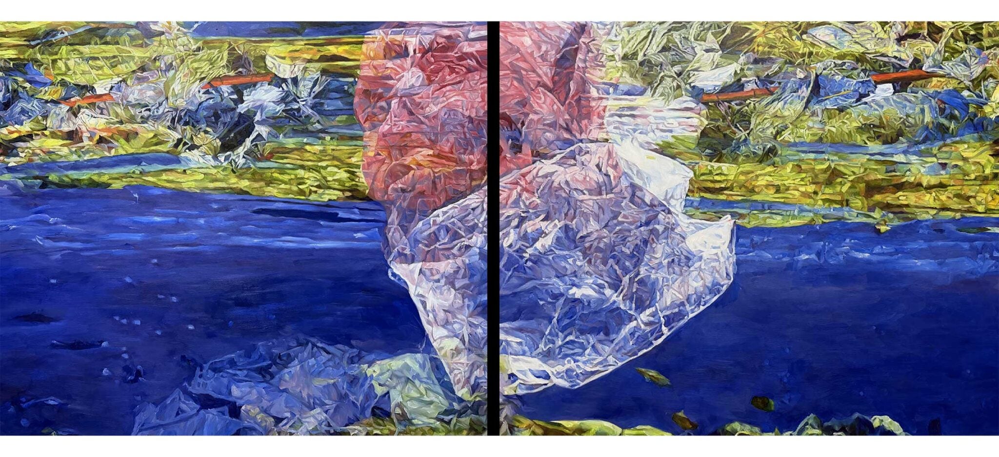 The Rewilding Arts Prize - David Suzuki Foundation