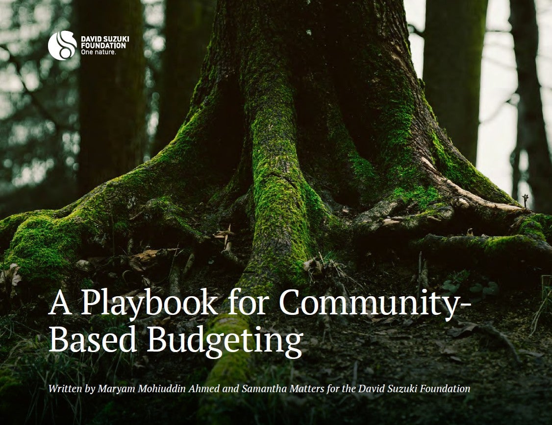 A Playbook for Community-Based Budgeting - David Suzuki Foundation